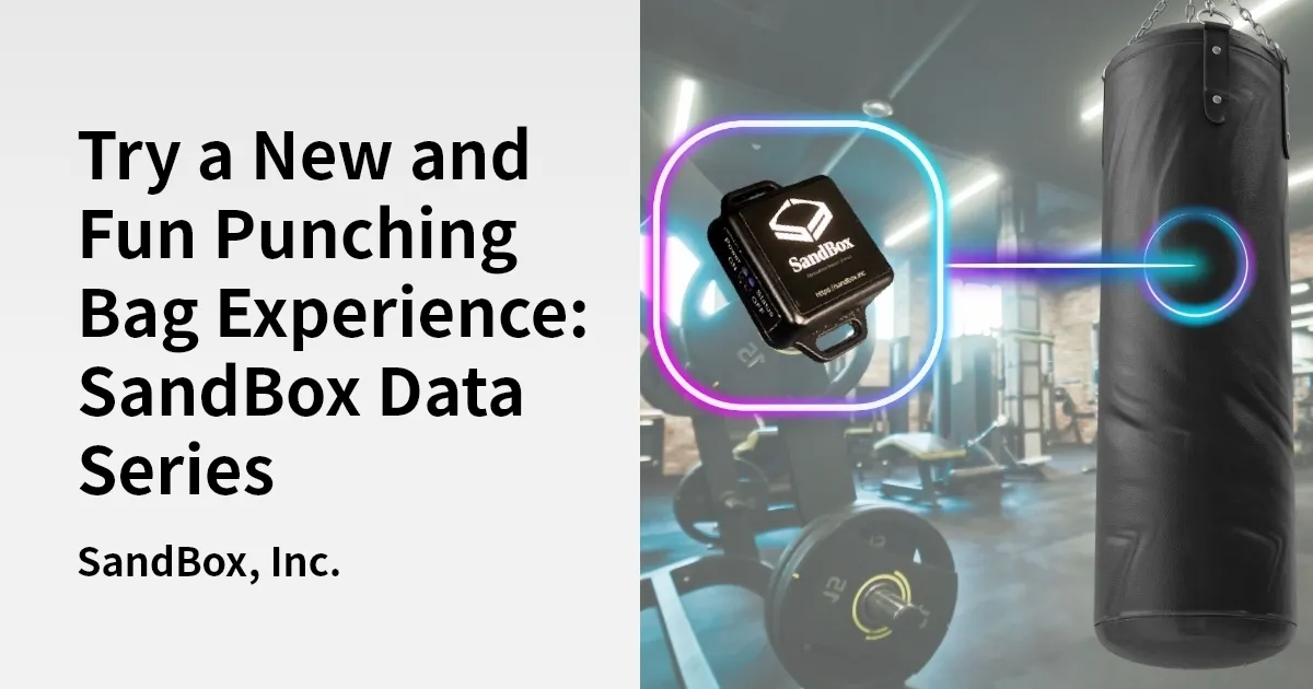 Try a New and Fun Punching Bag Experience: SandBox Data Series | SandBox, Inc.